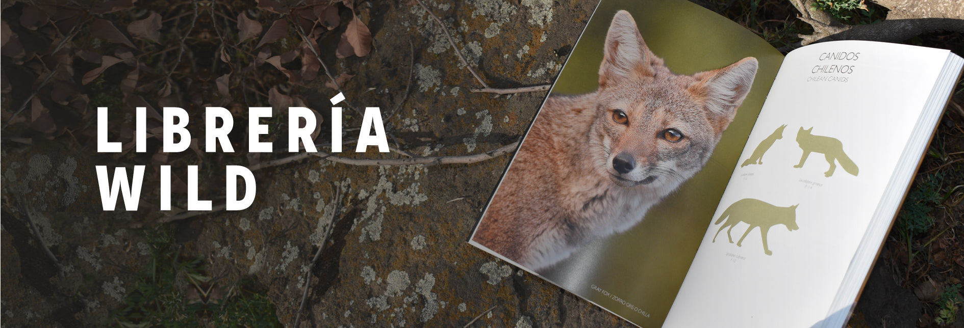 Libros | Wild Lama