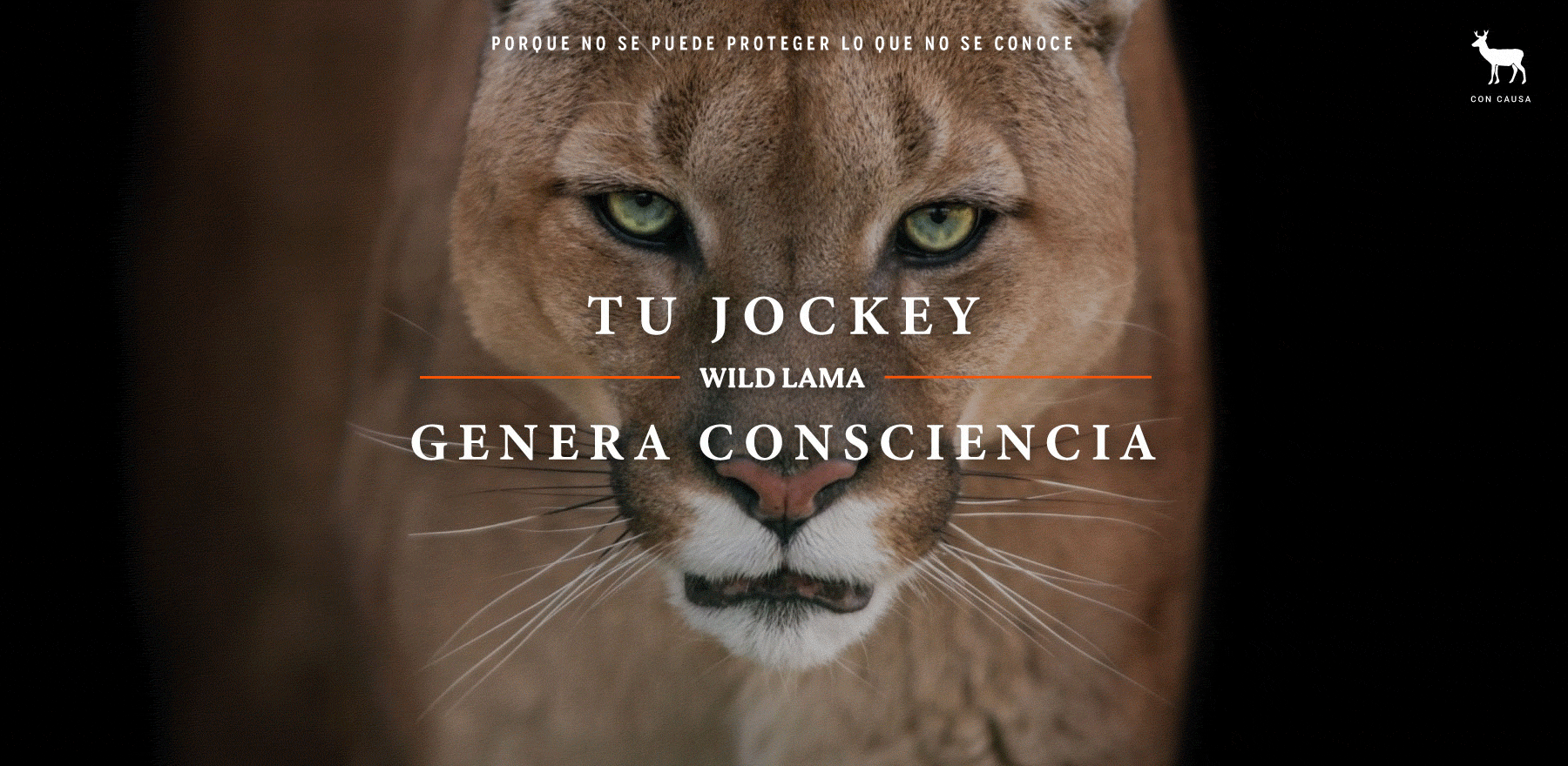 Wild Lama - Indumentaria salvaje, consciente y auténtica