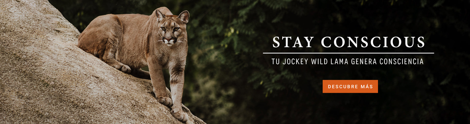 Wild Lama - Indumentaria salvaje, consciente y auténtica